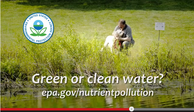 Harmful Algal Blooms Info for Public Water Systems