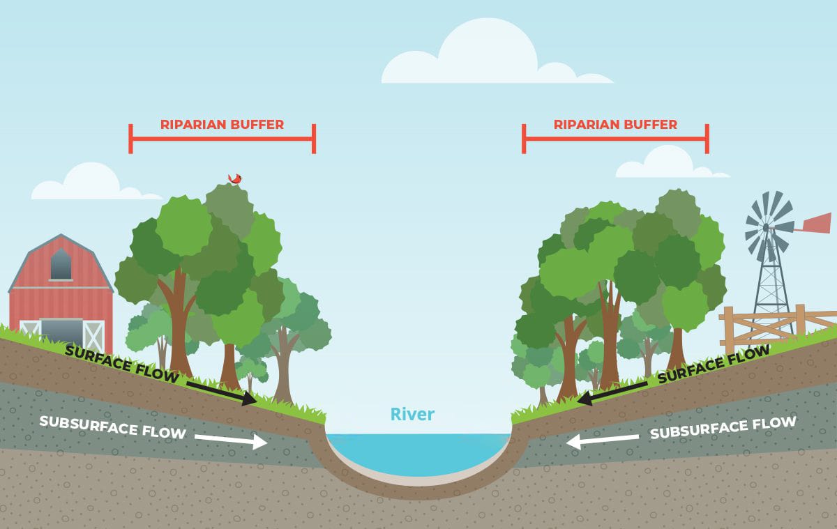 Forested Streambanks: Filters Along Waterways