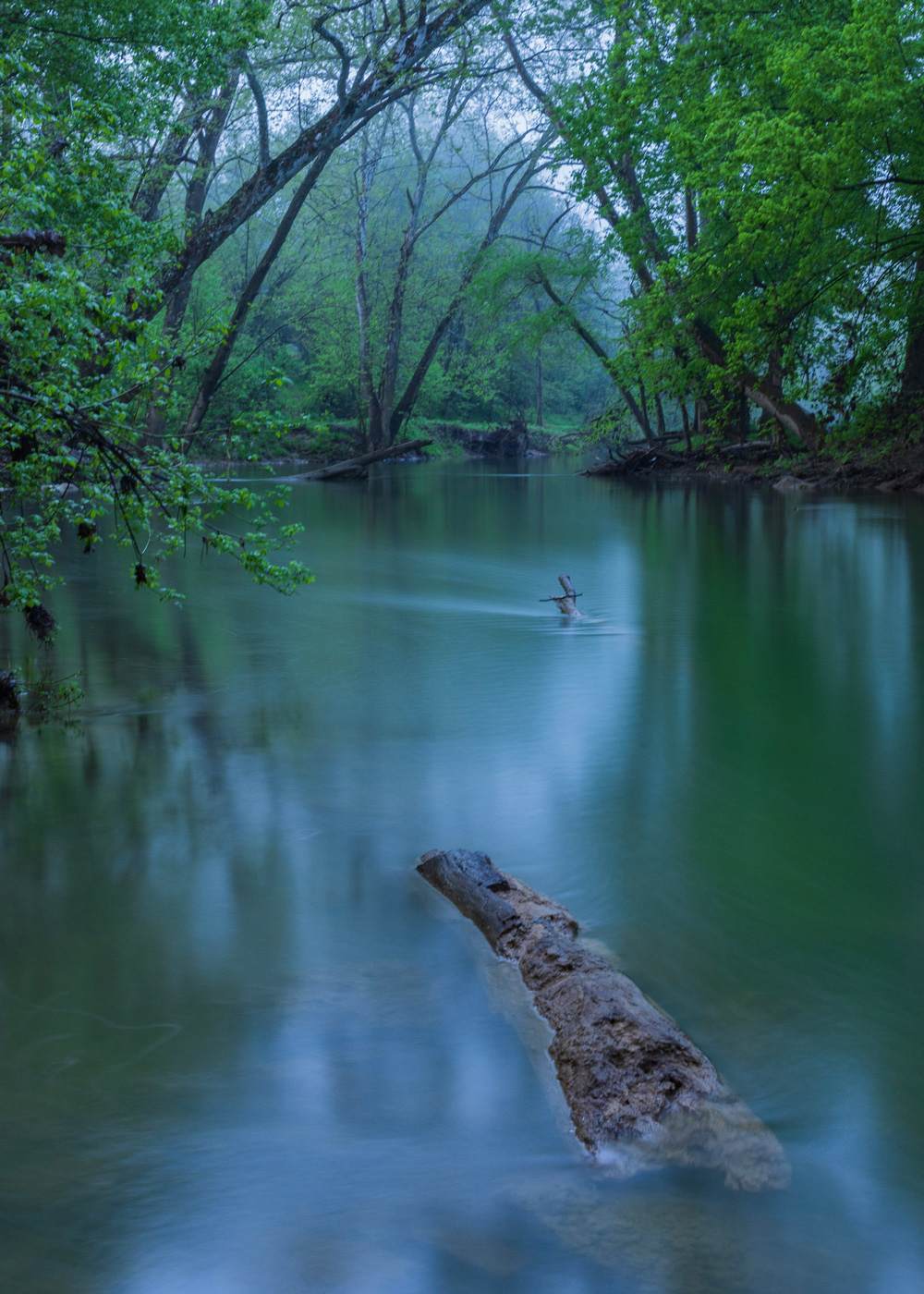 Intent to Designate Scioto Brush Creek as a State Scenic River