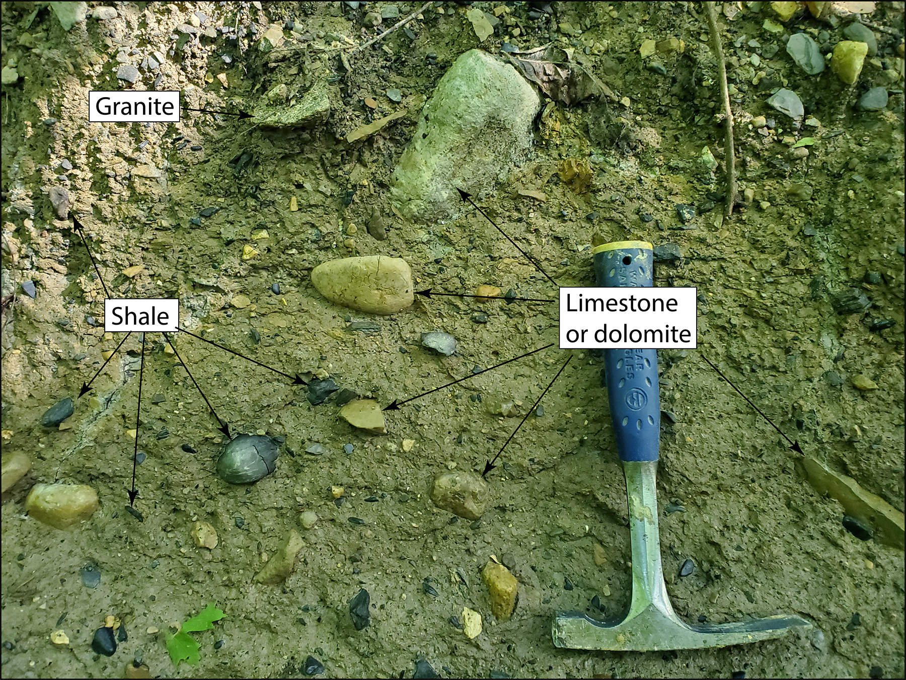 Geology of Blendon Woods Metro Park