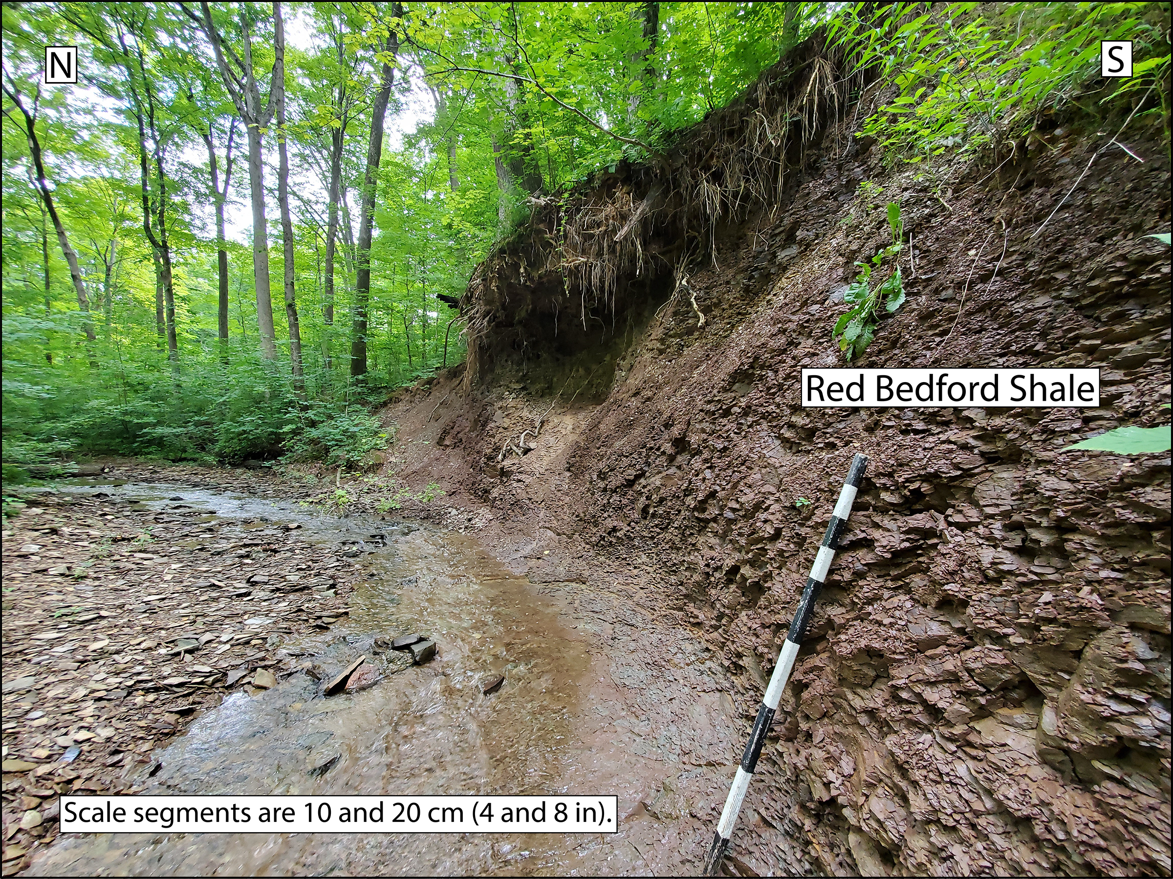 Geology of Blendon Woods Metro Park