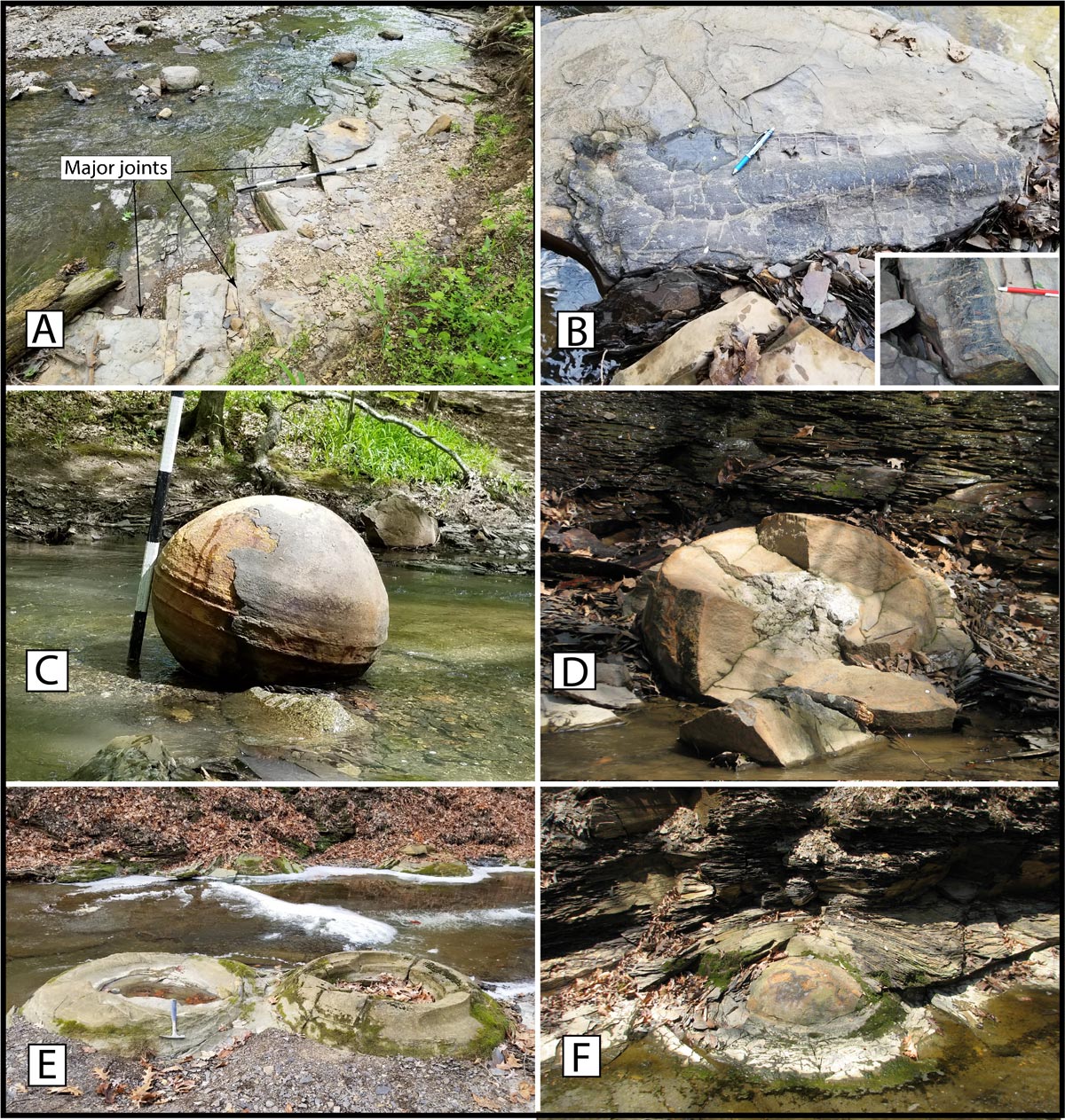 Geology of Shale Hollow Park
