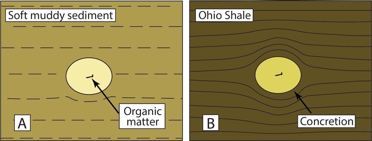 Geology of Shale Hollow Park