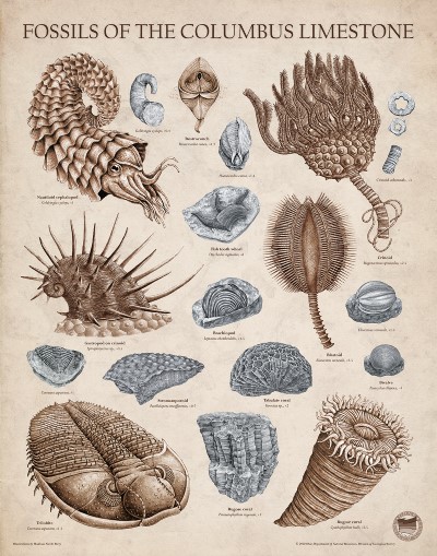 Popular Geological Features In Ohio